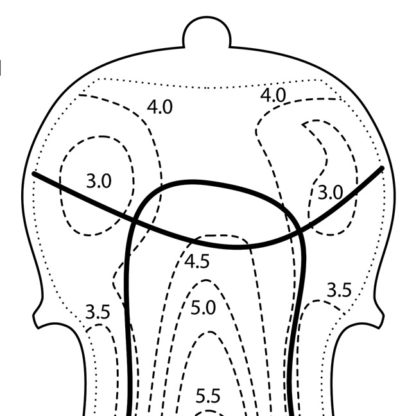 Free Plate Tuning, Part Two: Violins – Guild of American Luthiers