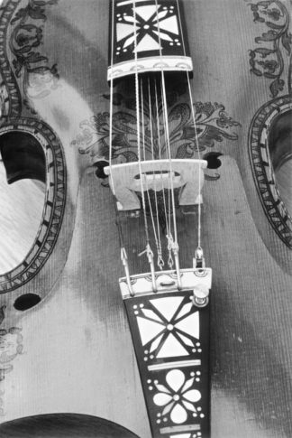 What You Should Know About The Hardanger Fiddle – Guild of American ...